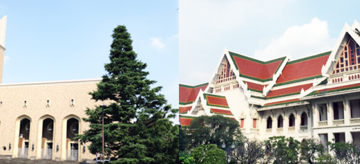 BALAC – Arts Chula